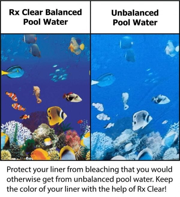 Rx Clear Granular Swimming Pool Chlorine – 50 lb Bucket – Bexebt